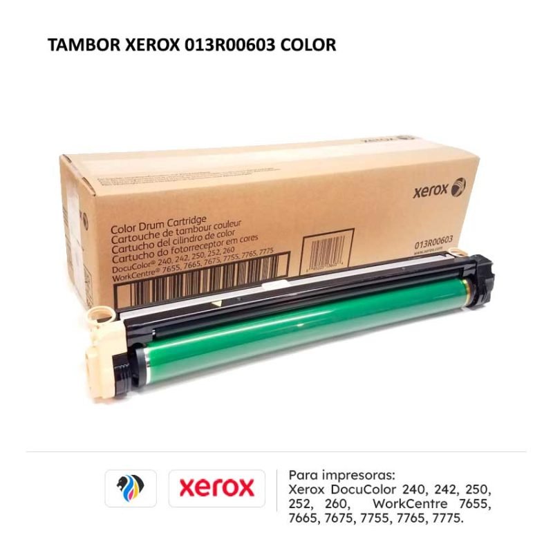 Tambor Xerox 013R00603 Color para 240 250 7655 7665 • Nuevo